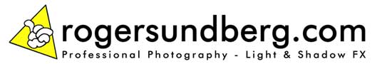 Roger Sundberg Models Extended Form Page